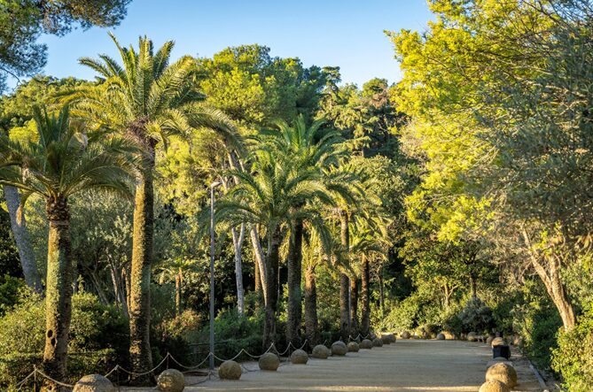El Park Güell renovarà l’enllumenat per millorar els itineraris segurs ...